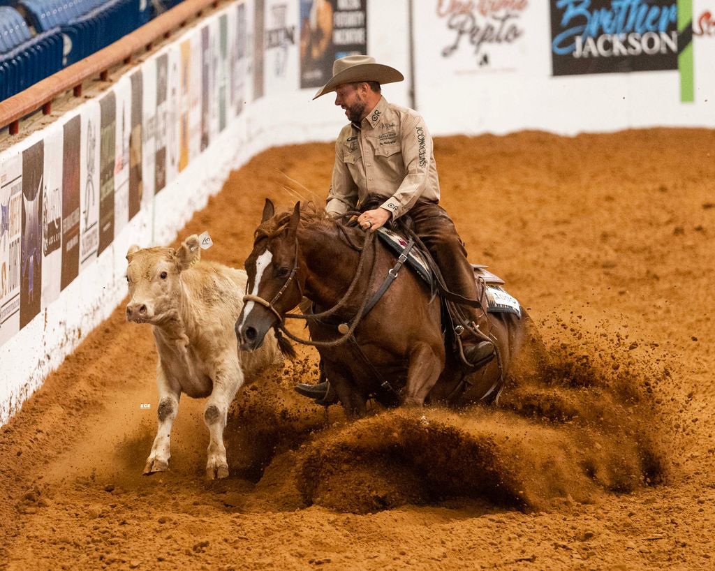 #1 Saddles For Sale | Improve Your Riding Experience