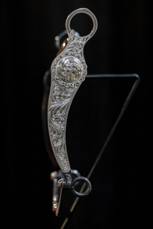 Daryl Davis Bit - The Saddle House