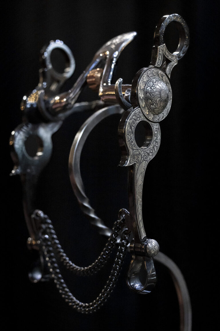 Matt Smith Bit - The Saddle House