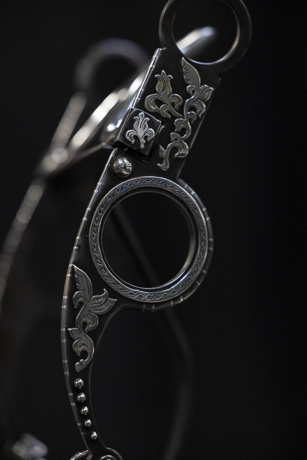 Preston Williams Bit - The Saddle House